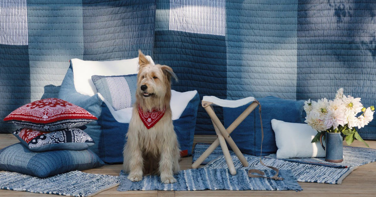 “LEVI’S X TARGET” ดีไซน์ที่จัดมาให้ครบทั้งของคนและน้องหมา